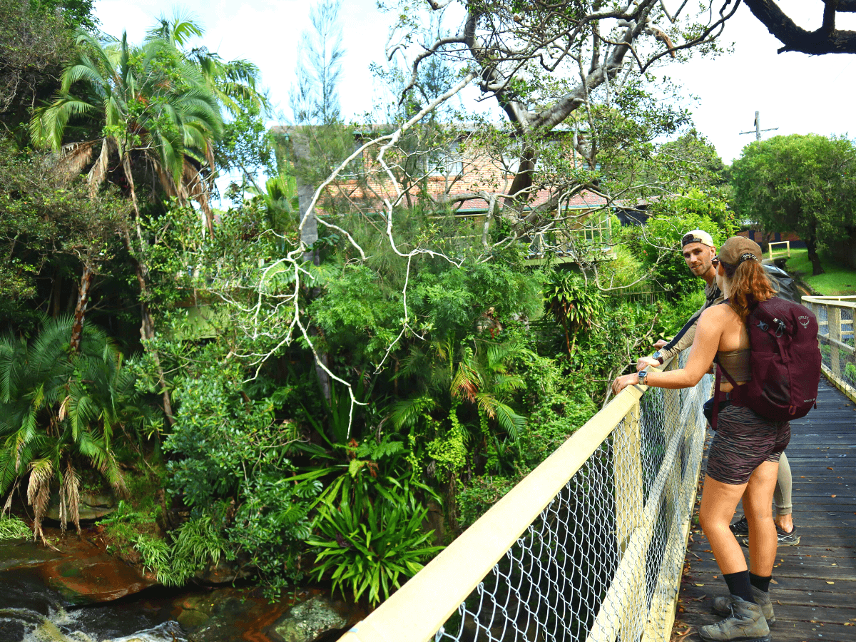 Wat te doen in Sydney? Dit zijn top tips van de locals! - Reismind