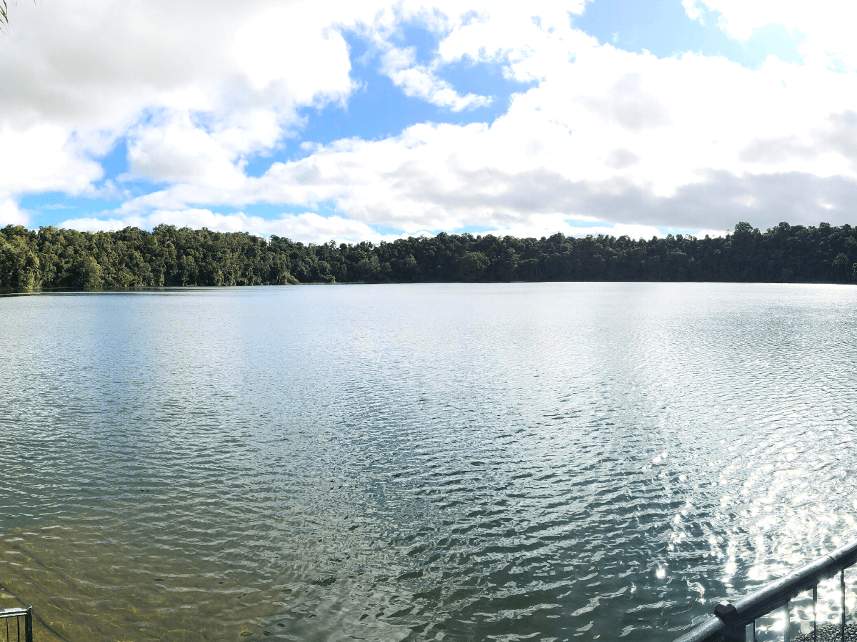 Wat te doen in Atherton Tablelands? | 6 top natuurplekken! - Reismind