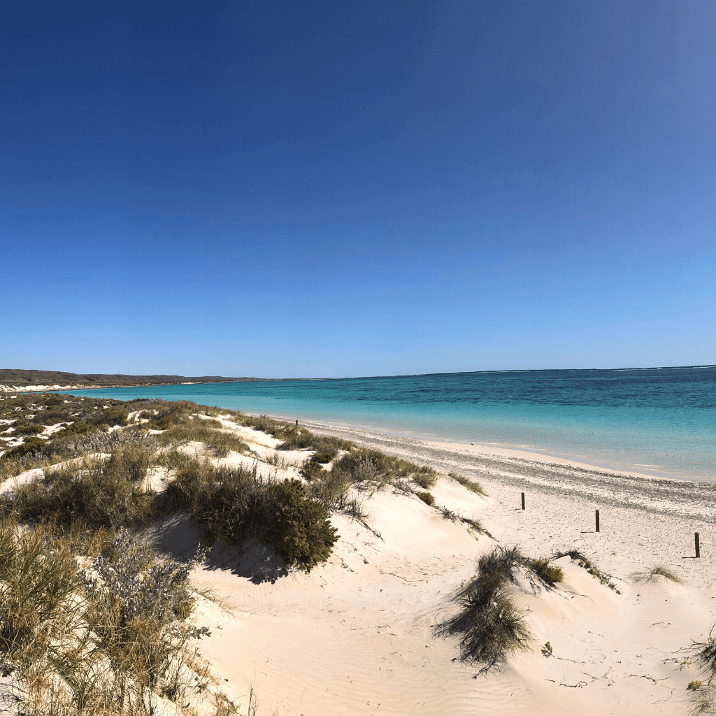 De mooiste plekken en tips van de Westkust van Australië! - Reismind