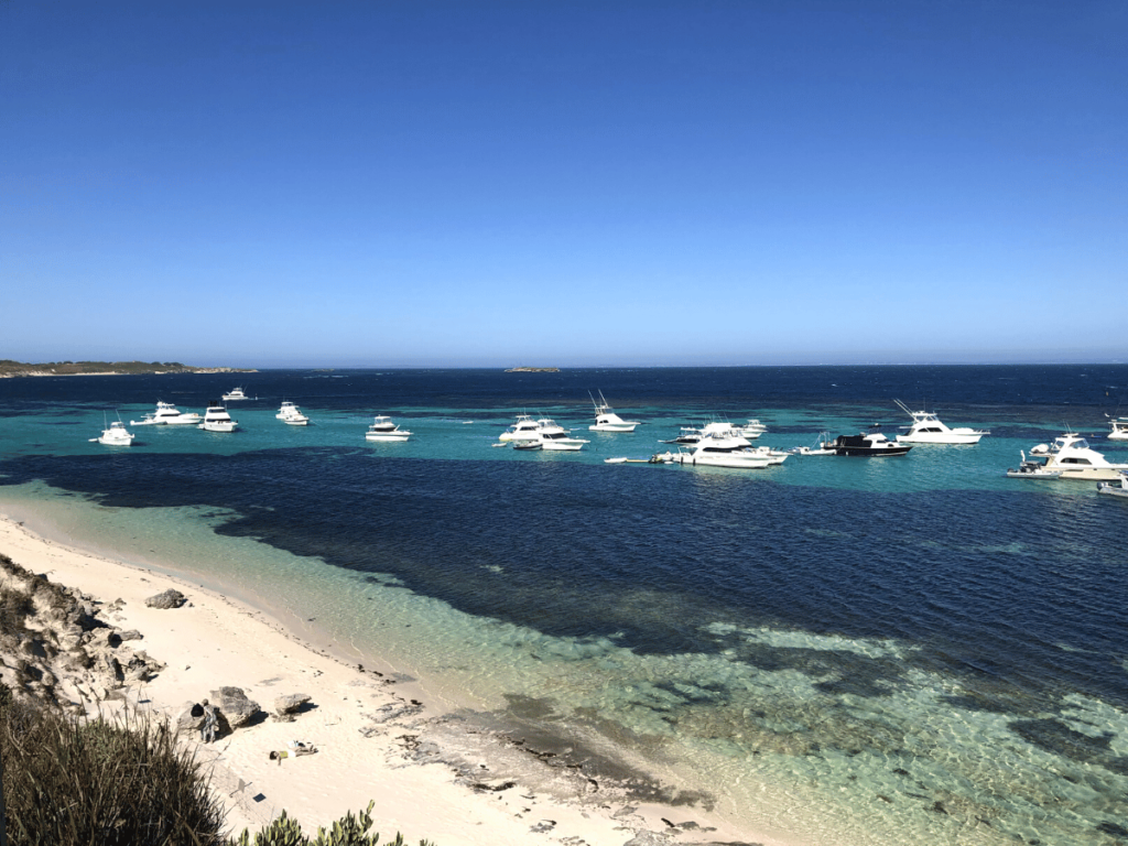 Wat te doen op Rottnest Island? | Top route quokka island - Reismind