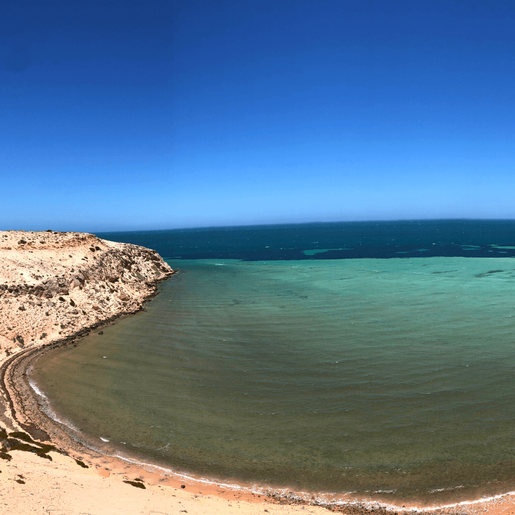 Wat te doen in Shark Bay? | De top 5 hoogtepunten - Reismind