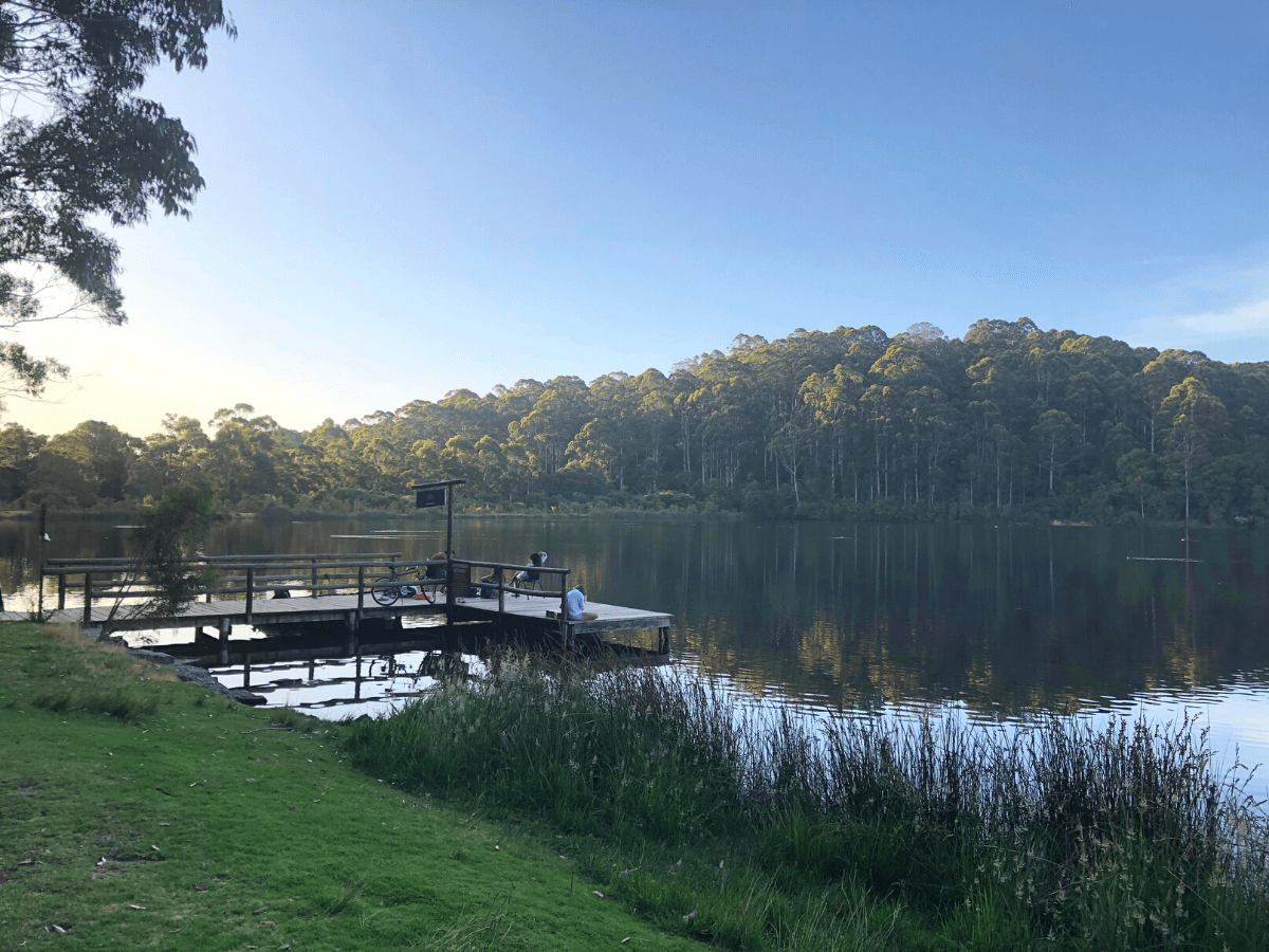 Wat te doen in Pemberton en omgeving? | De beste tips! - Reismind