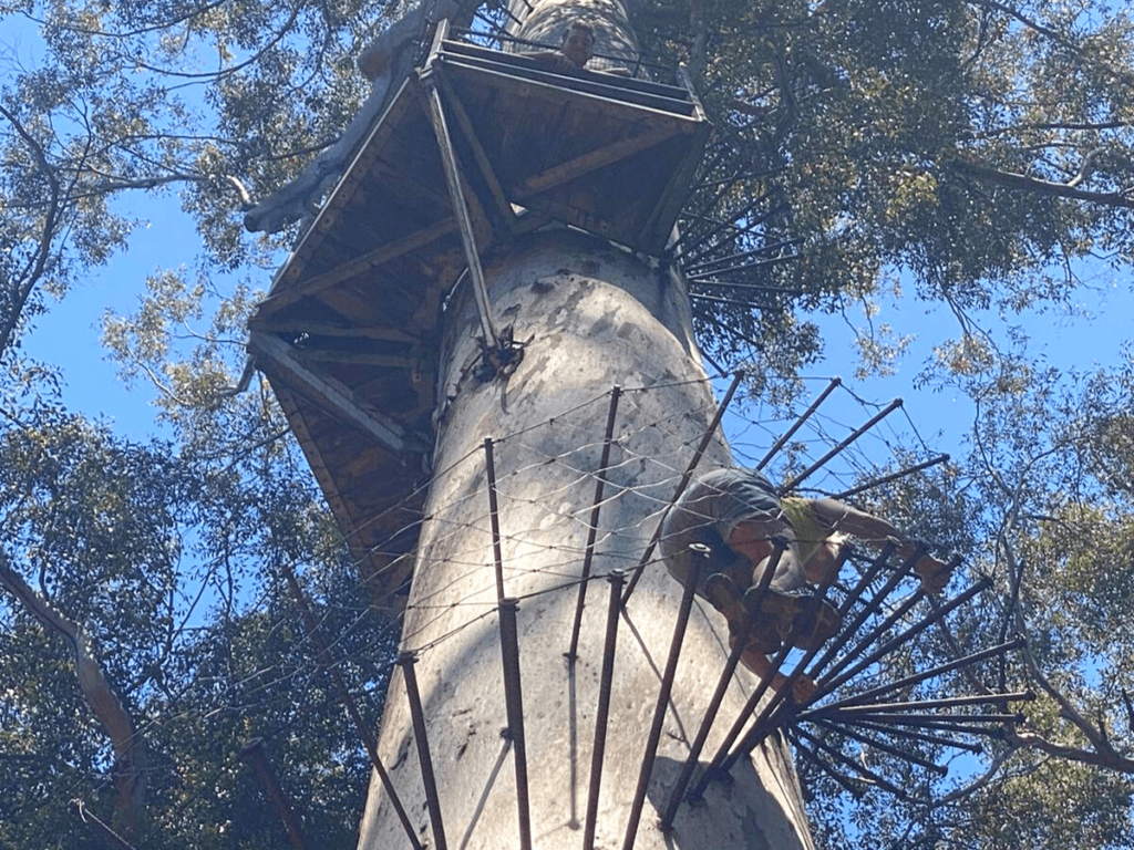 Wat te doen in Pemberton en omgeving? | De beste tips! - Reismind